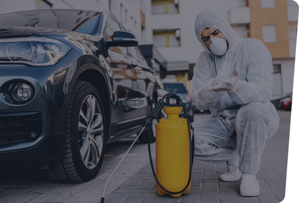 Heat Wave Pest Control - Austin's Trusted Pest Experts